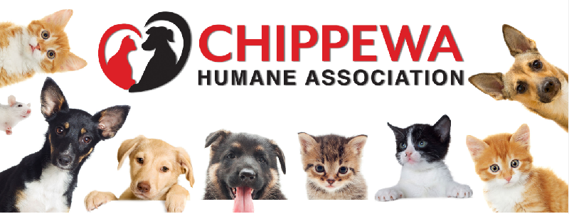 Great Northern Cares for the Chippewa Humane Association - Great ...